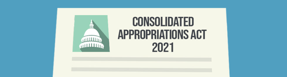 Consolidated Appropriations Act, 2021. What You Need to Know About the New COVID Relief Bill ...